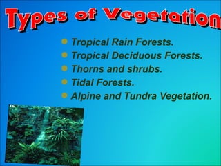natural vegetation &wild life | PPT | Zoos & Aquariums | Attractions