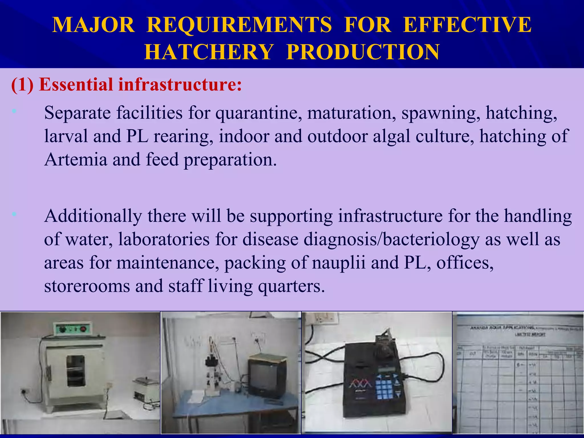 Broodstock And Hatchery Management Of Penaeus Monodon | PPT