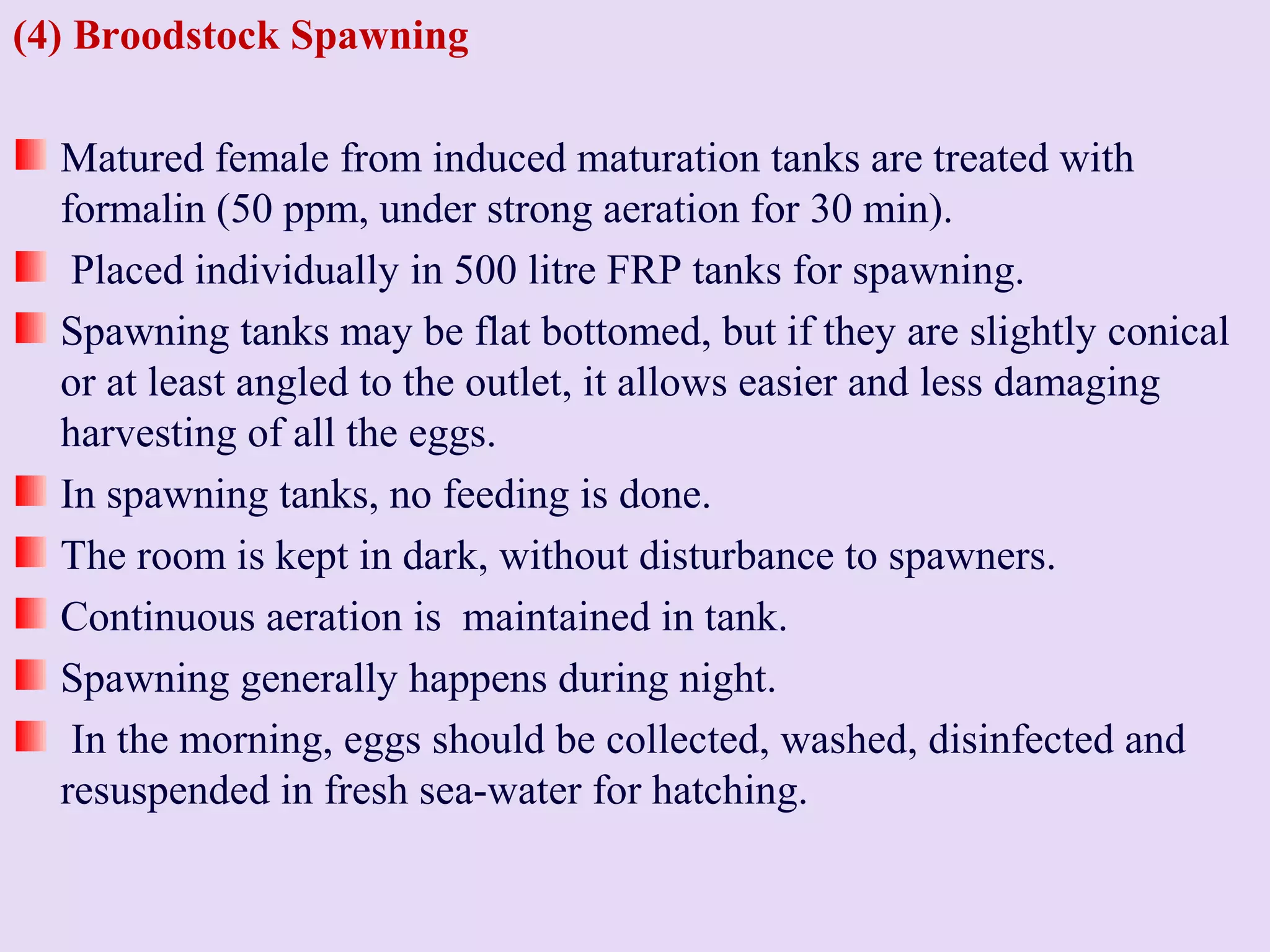 Broodstock And Hatchery Management Of Penaeus Monodon | PPT