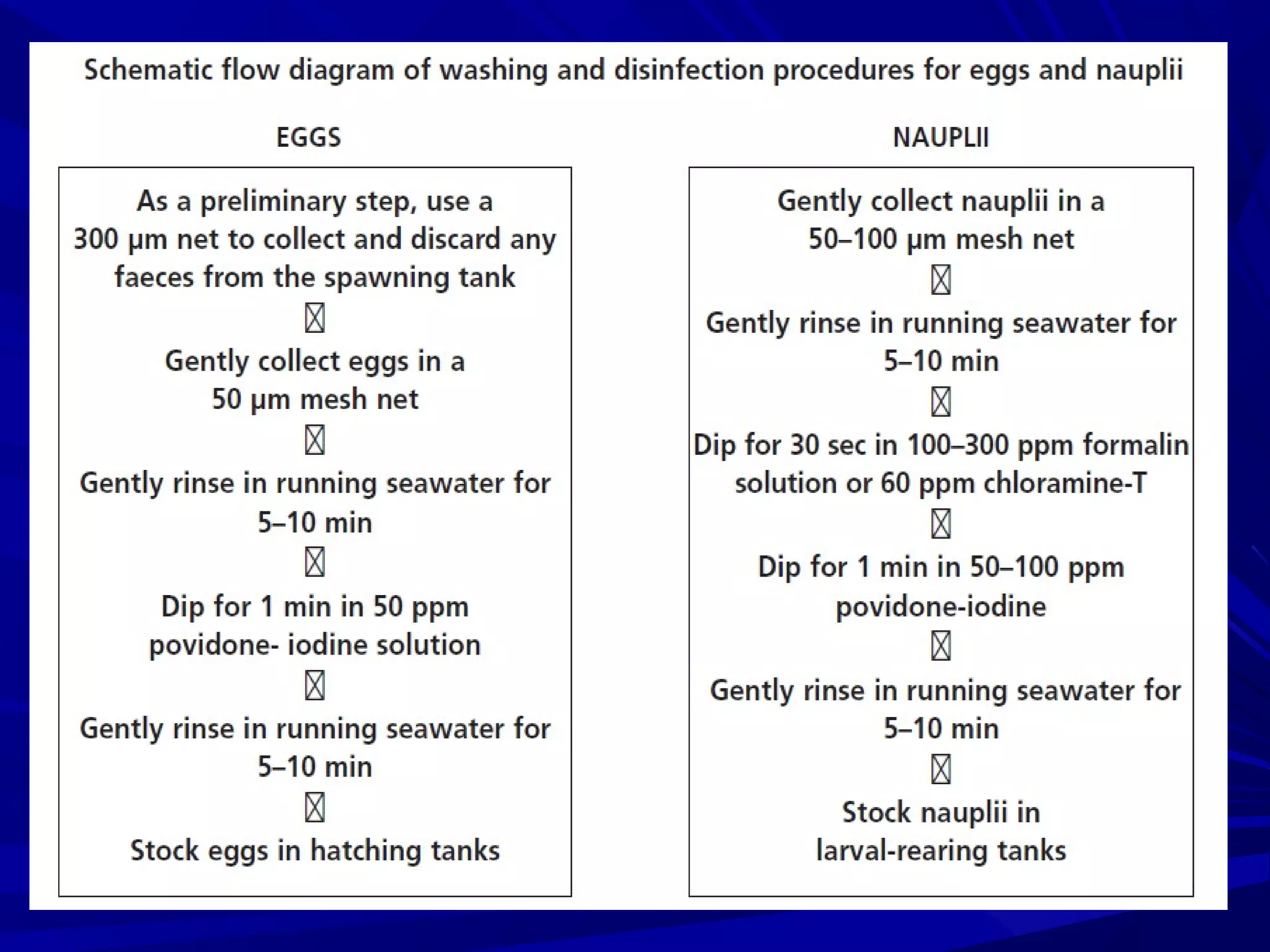 Broodstock And Hatchery Management Of Penaeus Monodon | PPT
