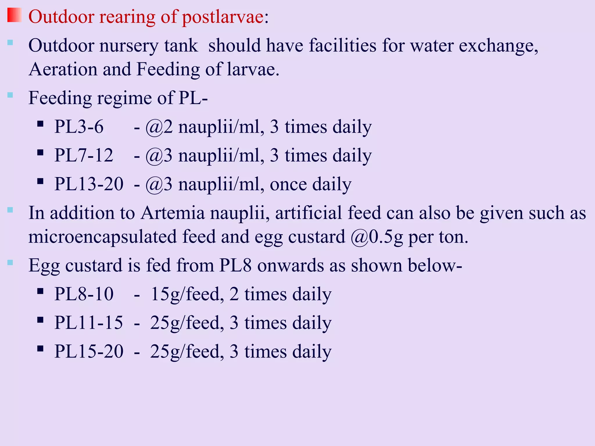 Broodstock And Hatchery Management Of Penaeus Monodon | PPT