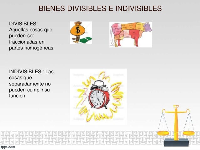 CLASIFICACIÓN Y DESCRIPCIÓN DE LOS BIENES