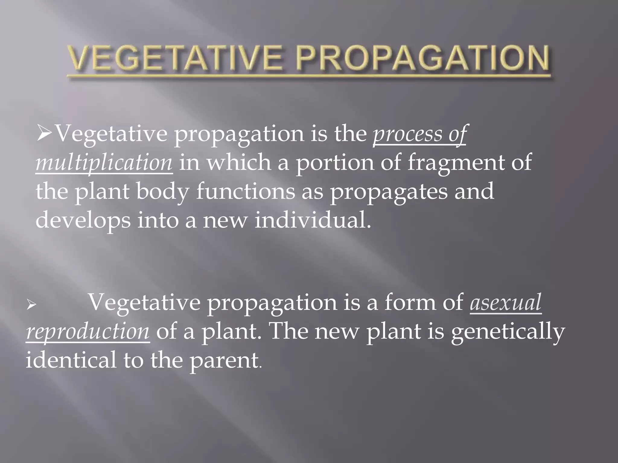 Propagation by vegetative structures | PPT