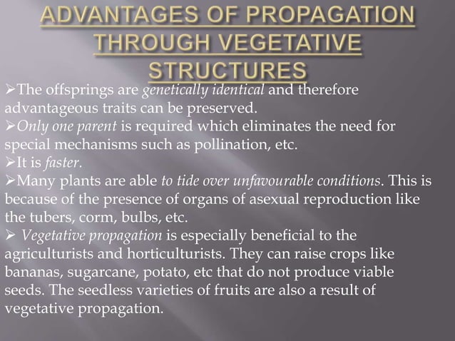 Propagation by vegetative structures | PPT