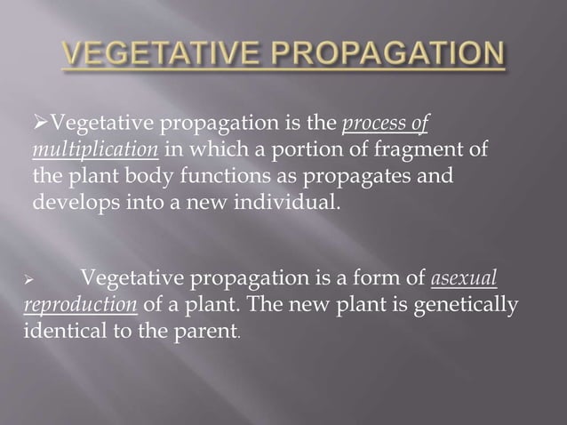 Propagation by vegetative structures | PPTX