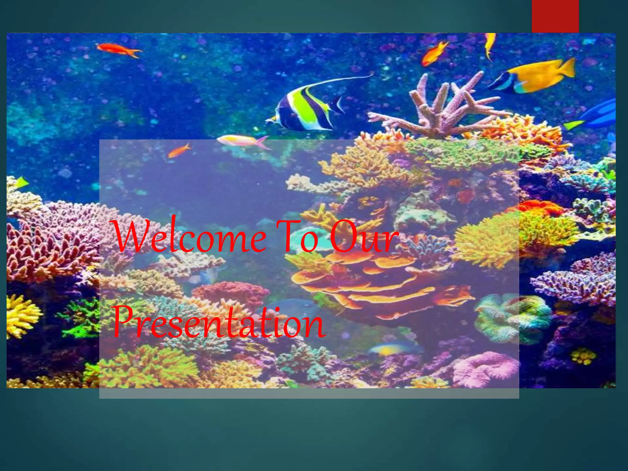 presentation about Coral Reefs | PPSX
