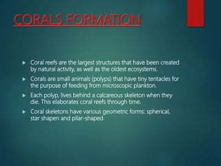 presentation about Coral Reefs | PPSX