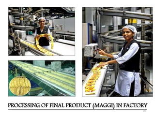 Nestle (MAGGI) | PPTX