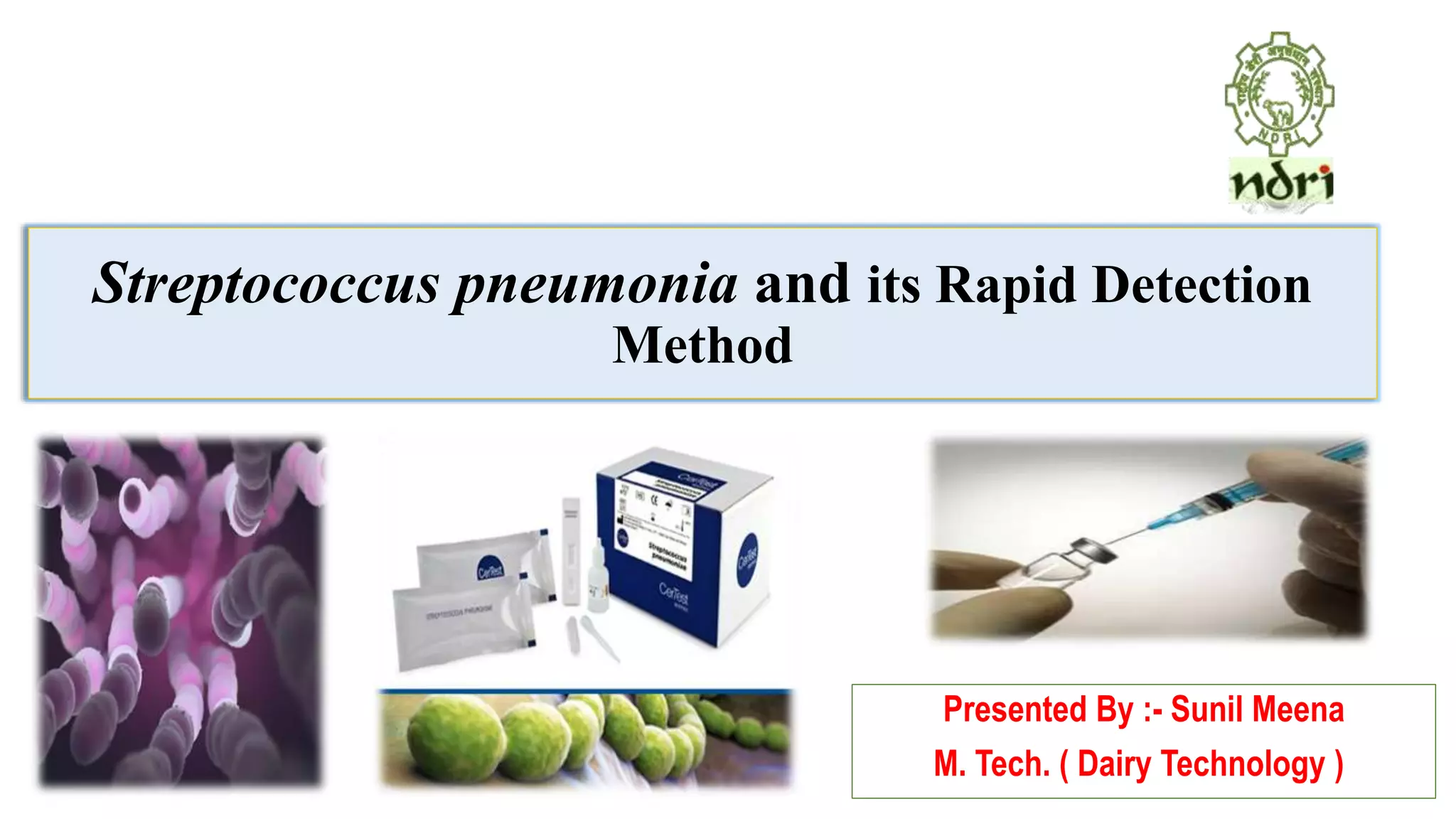 Streptococcus pneumonia and its Rapid Detection Method | PPT