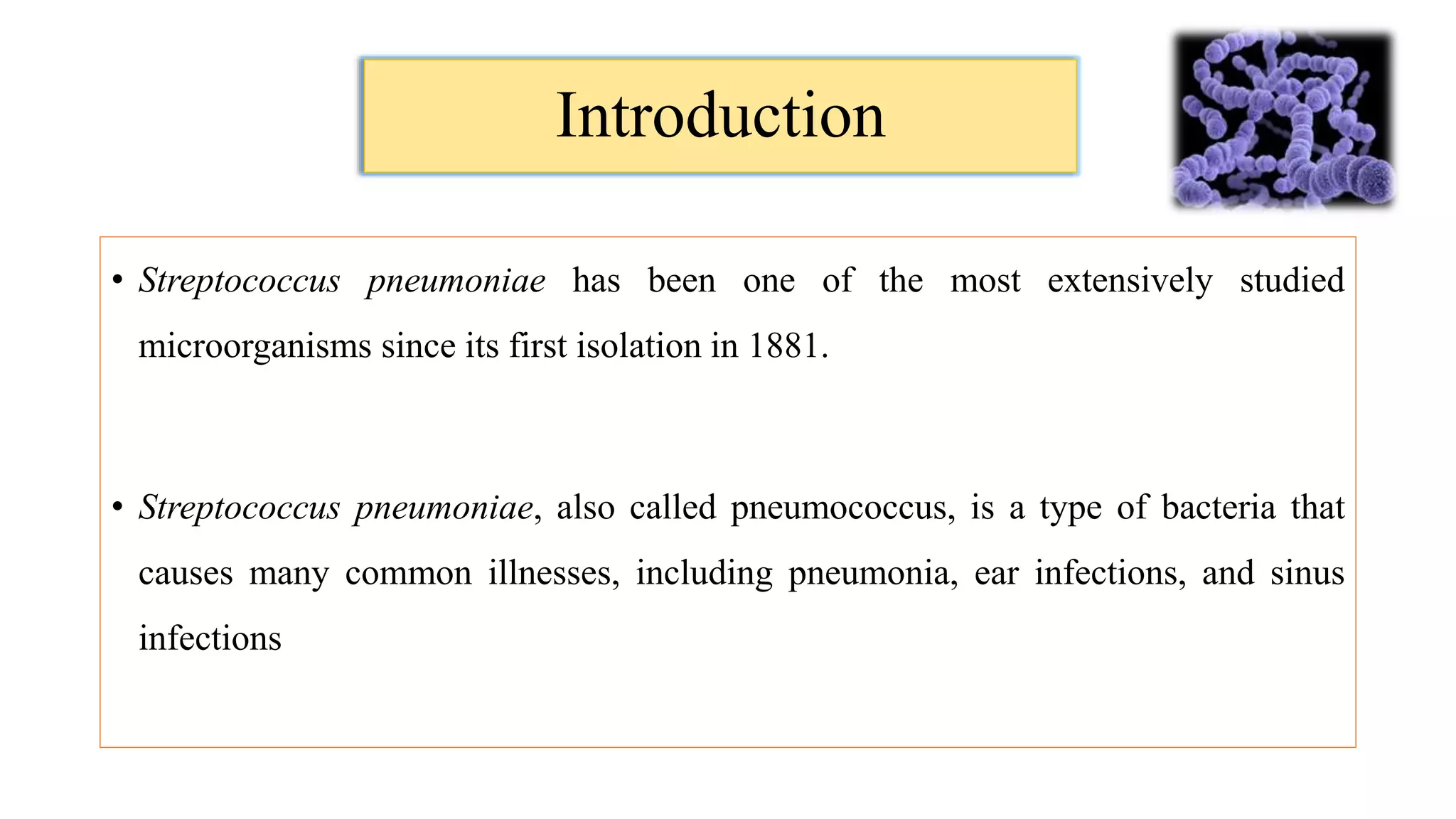 Streptococcus pneumonia and its Rapid Detection Method | PPT