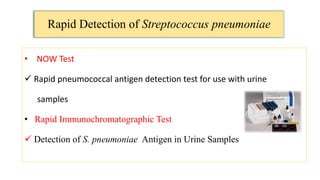 Streptococcus pneumonia and its Rapid Detection Method | PPT