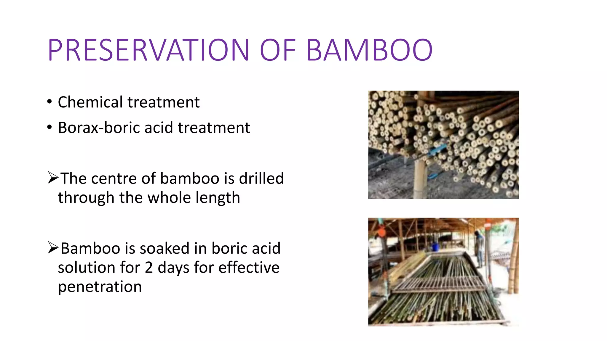 Bamboo as a building material | PPTX