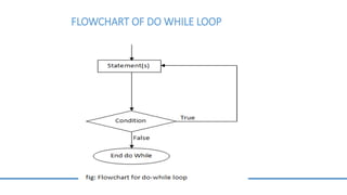 types of loops and what is loop | PPTX