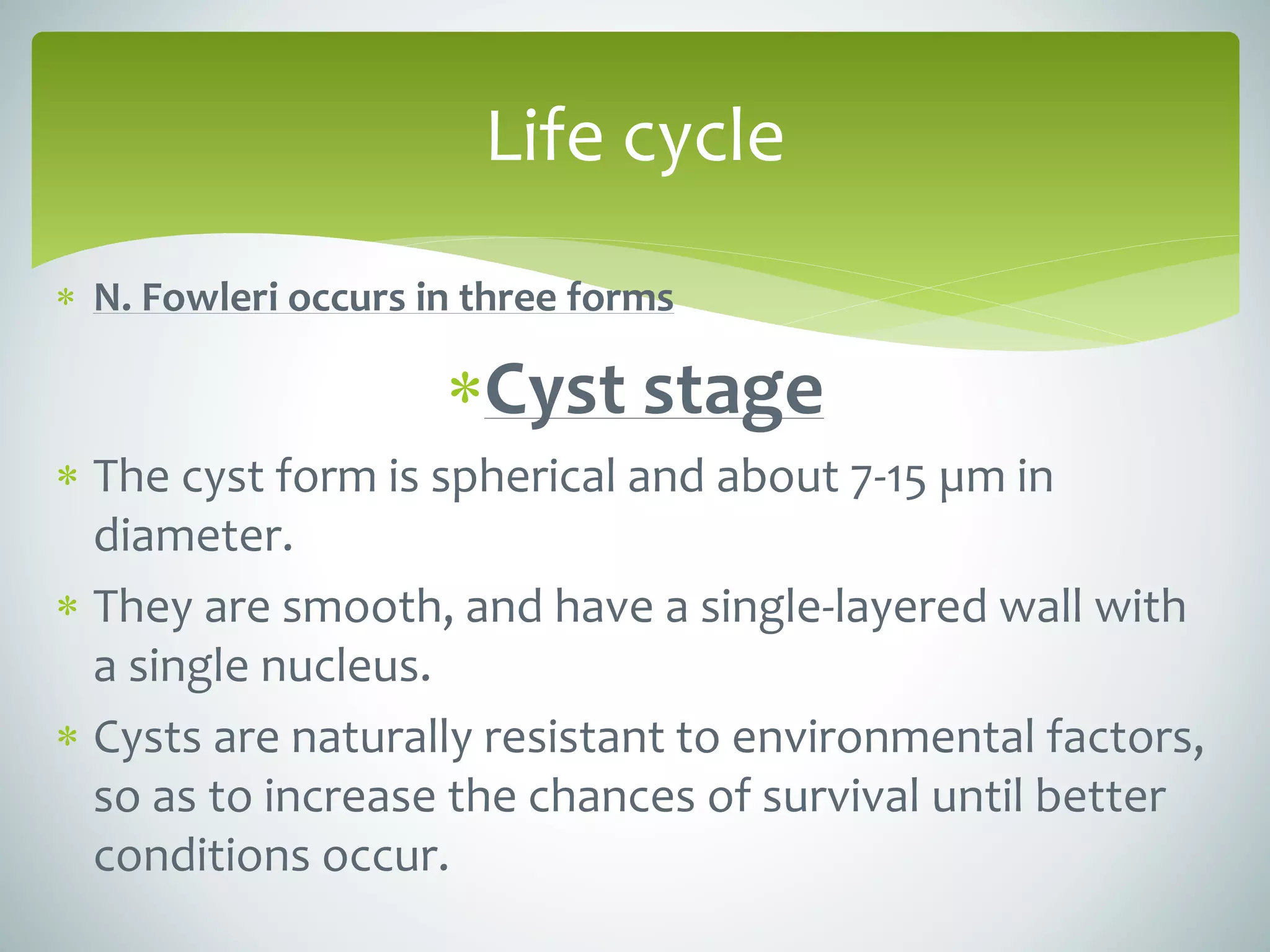 Naegleria Fowleri- The Brain Eating Amoeba | PPTX