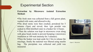 A Comparative Study of Conventional and Microwave Assisted Extraction ...
