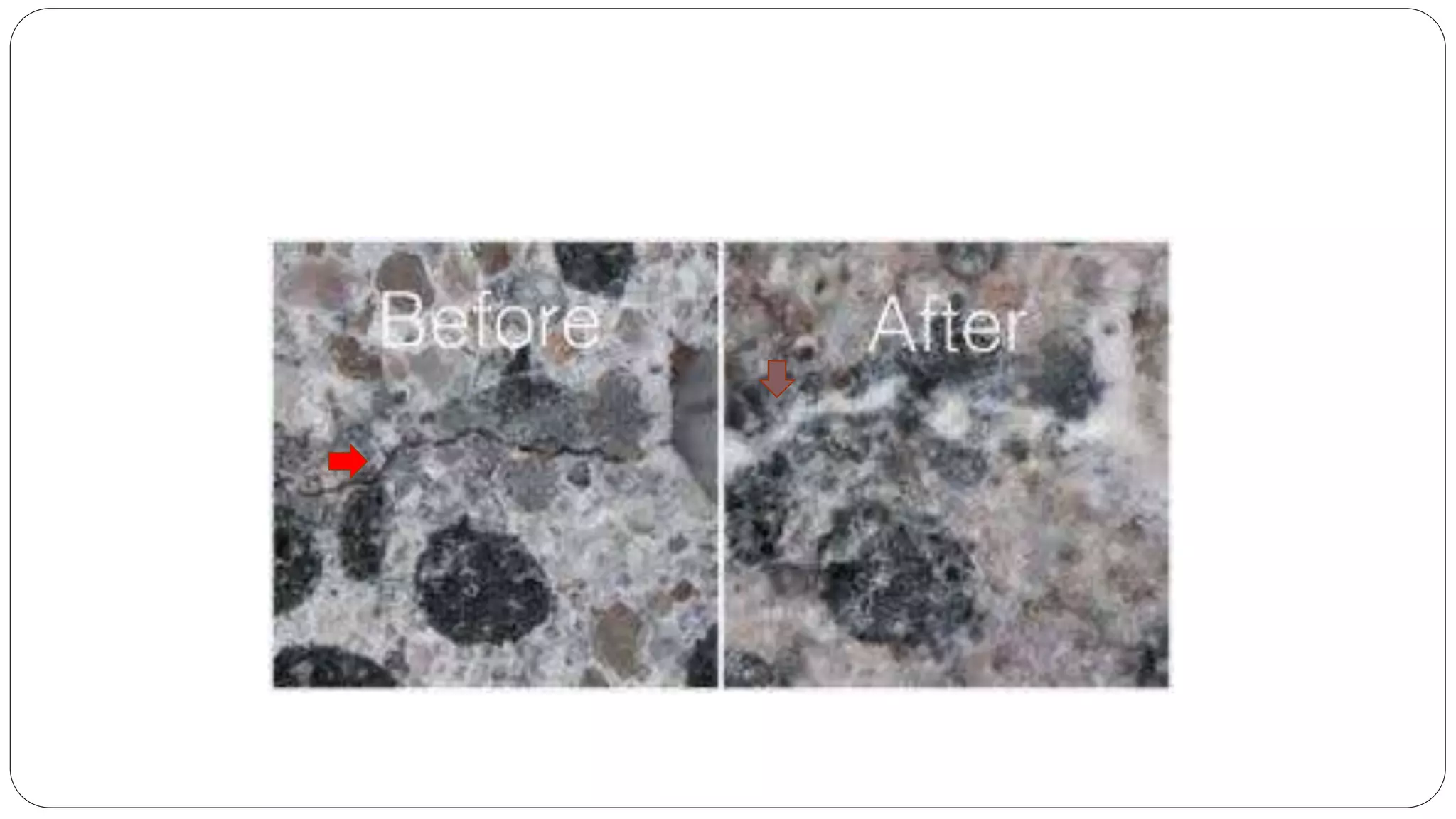 Bio-Concrete | PPTX