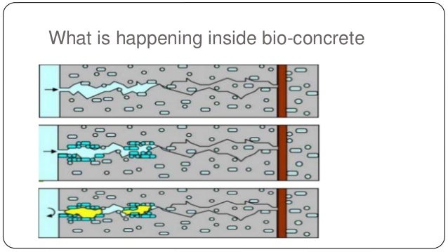 Bio-Concrete