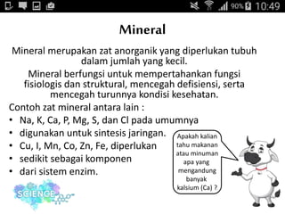 Ppt Sistem Pencernaan | PPT