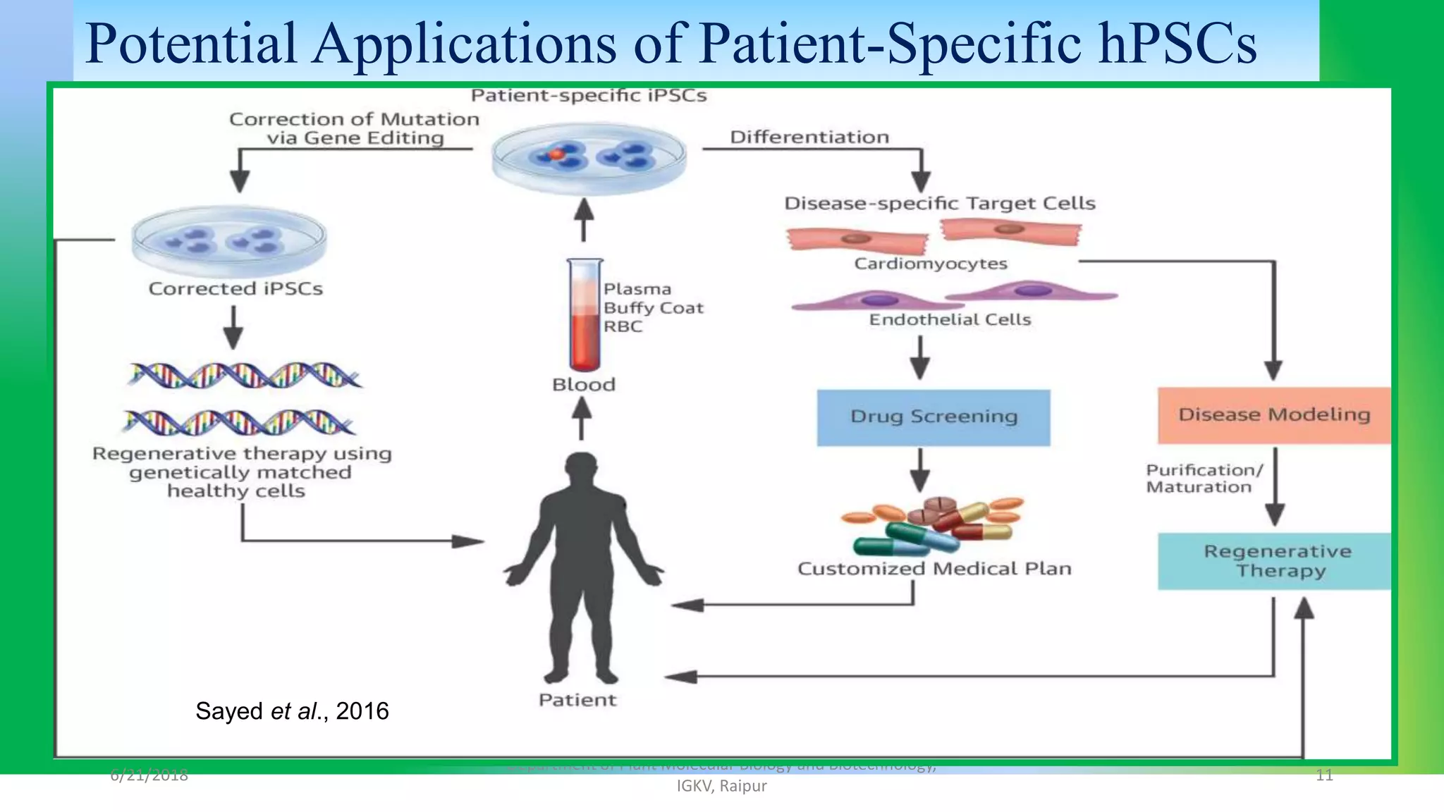 Pluripotent Stem Cells and their applications in disease modelling ...