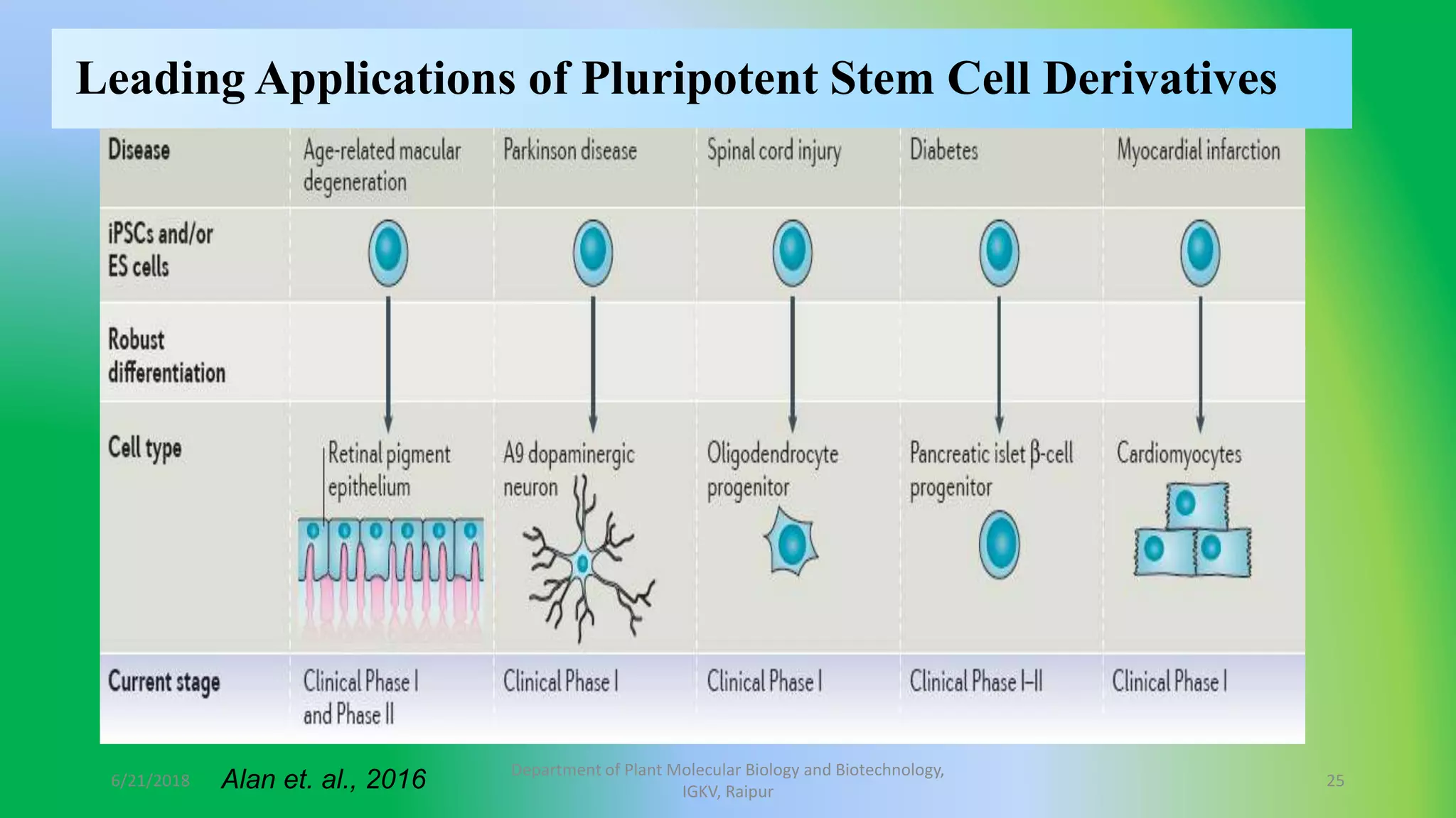 Pluripotent Stem Cells and their applications in disease modelling ...