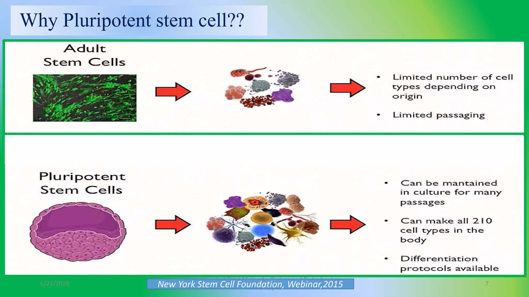 Pluripotent Stem Cells and their applications in disease modelling ...