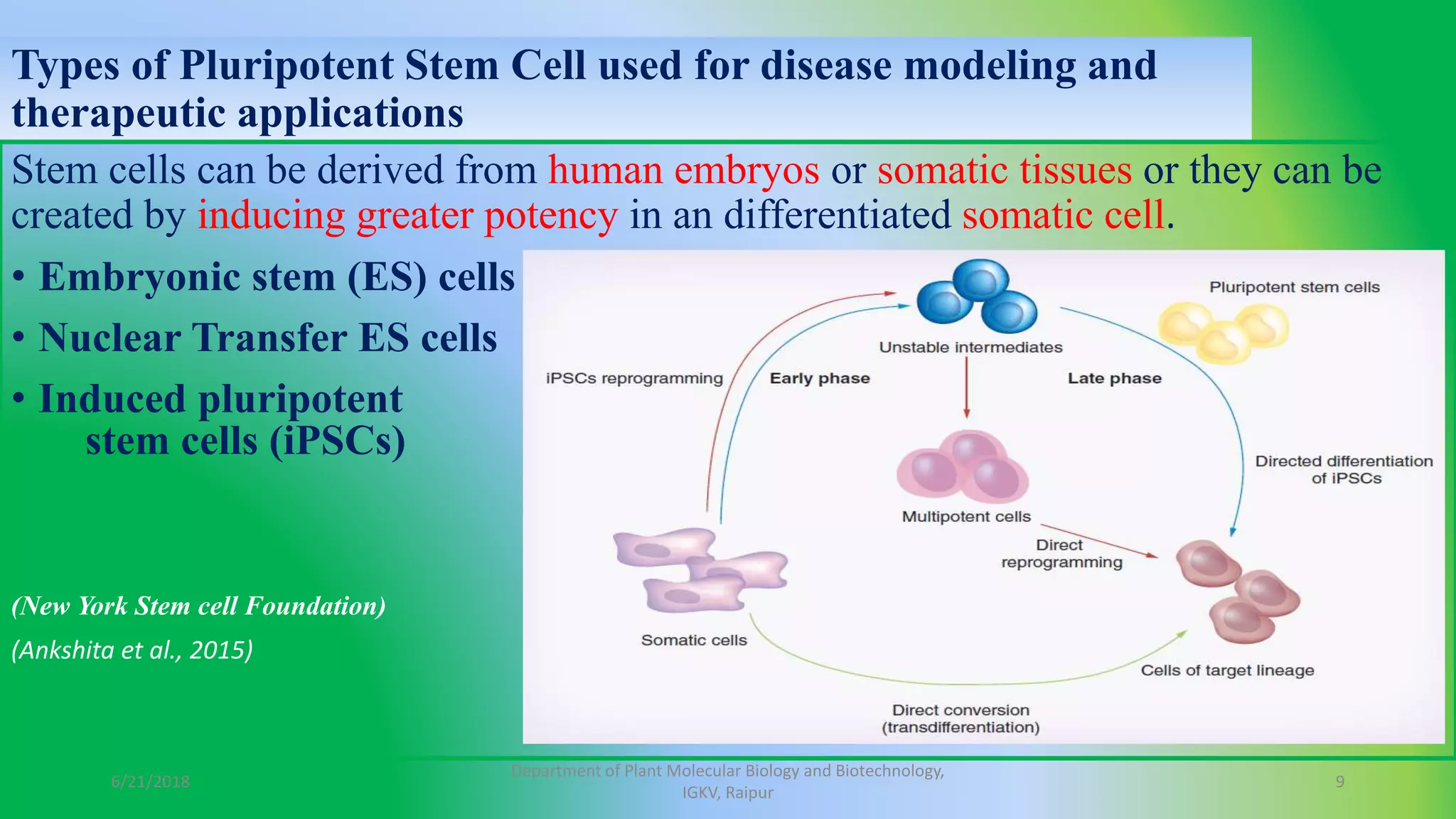 Pluripotent Stem Cells and their applications in disease modelling, drug discovery and ...
