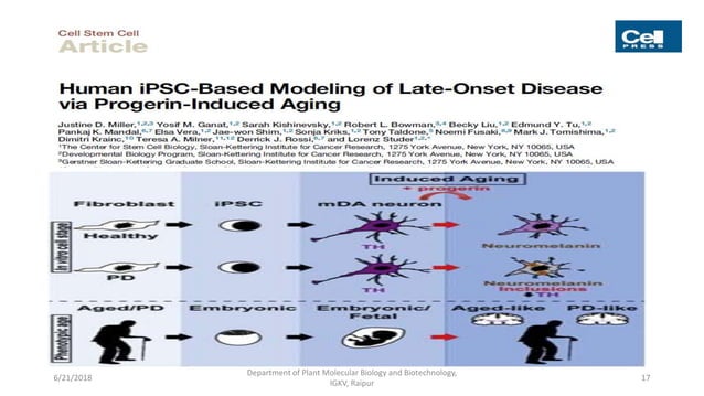 Pluripotent Stem Cells and their applications in disease modelling ...