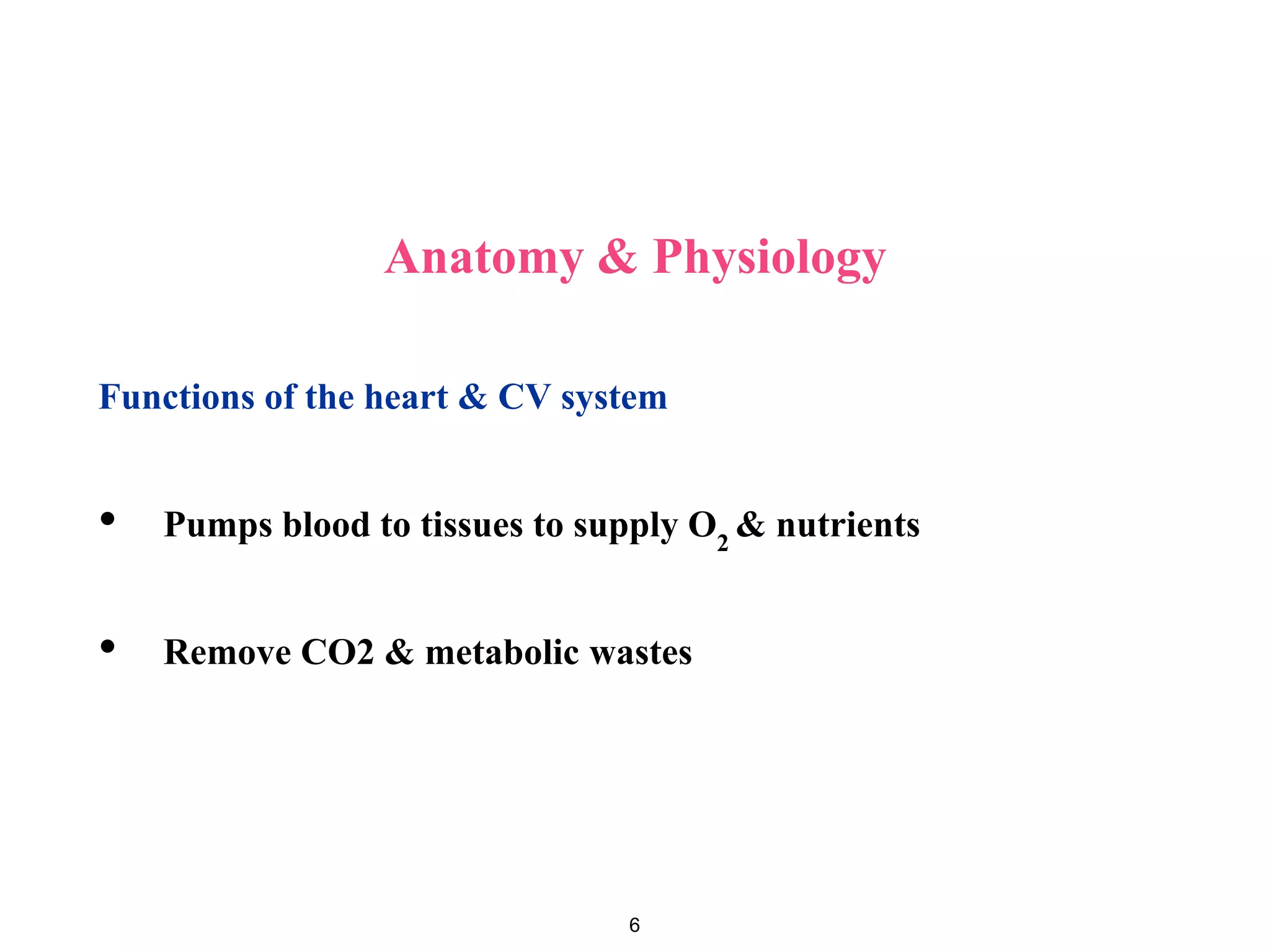 Cardiovascular System | PPTX