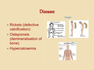 Role of calcium | PPTX