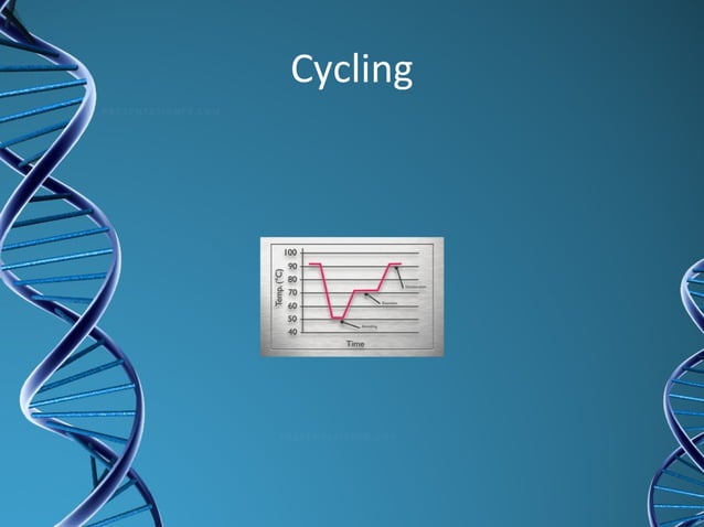 Polymerase Chain Reaction | PPT