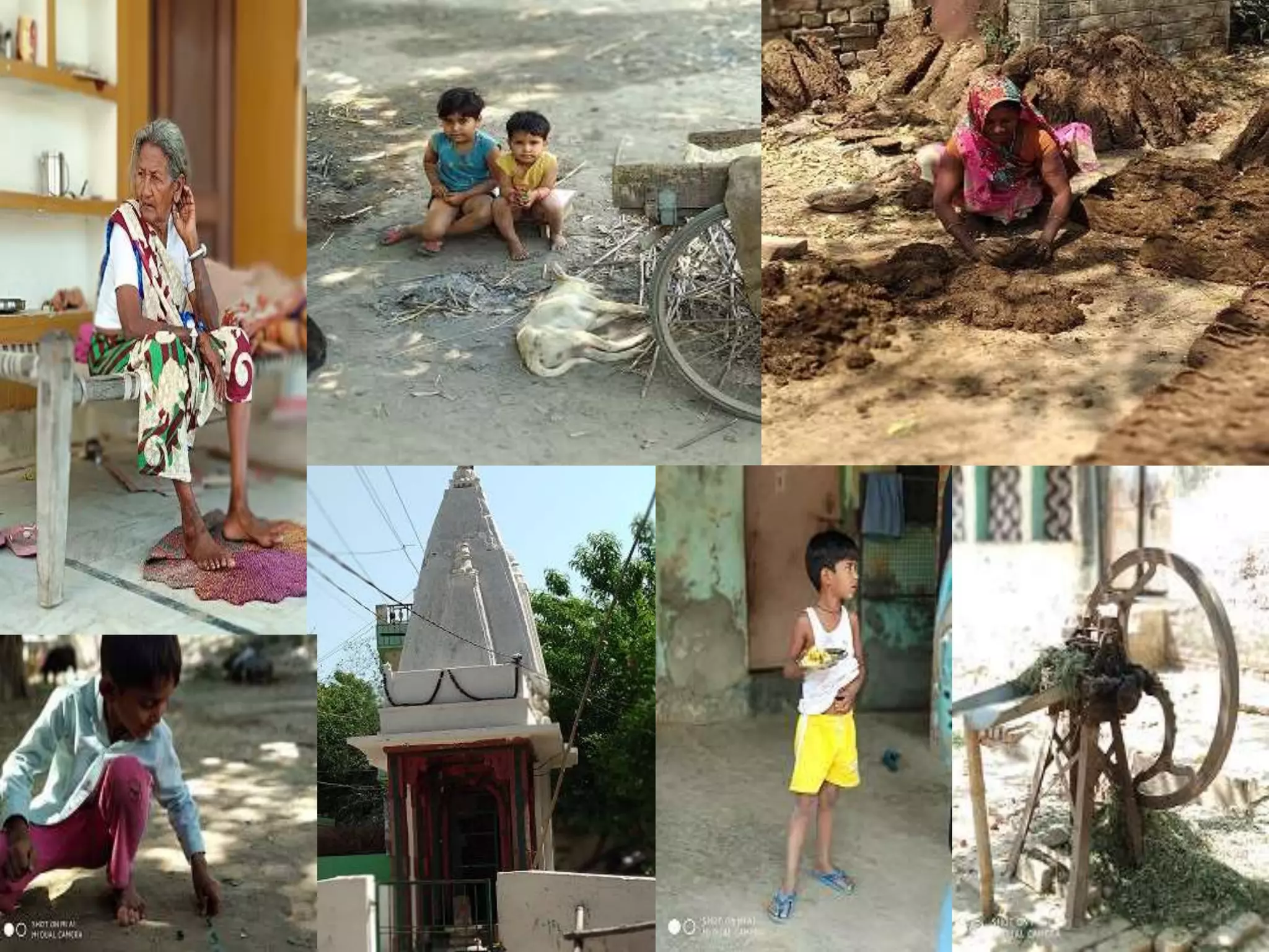 Village survey ppt | PPTX