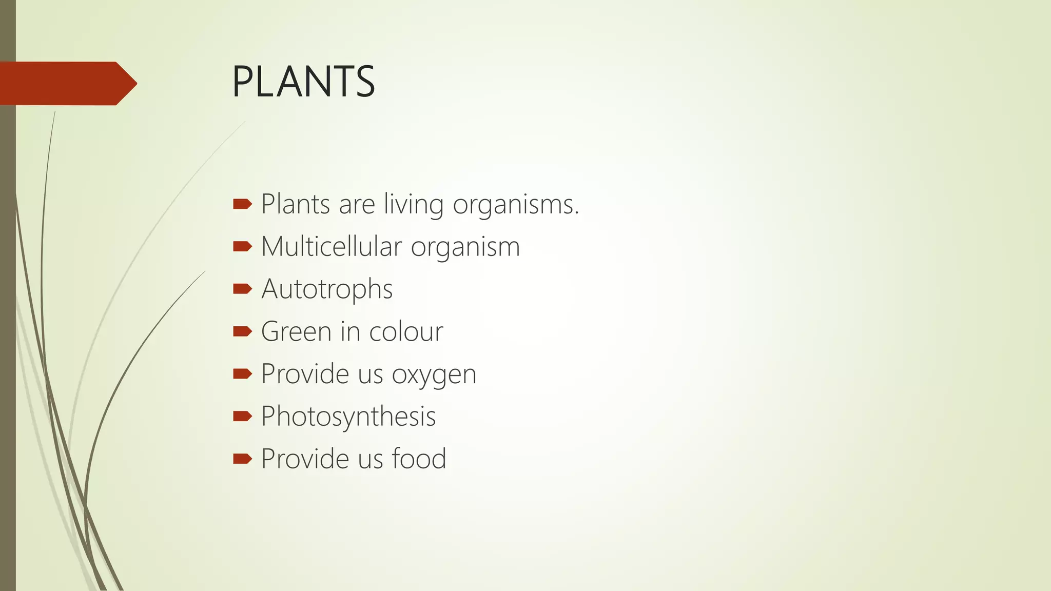 plants tissues and organs | PPTX