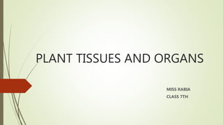 plants tissues and organs | PPTX