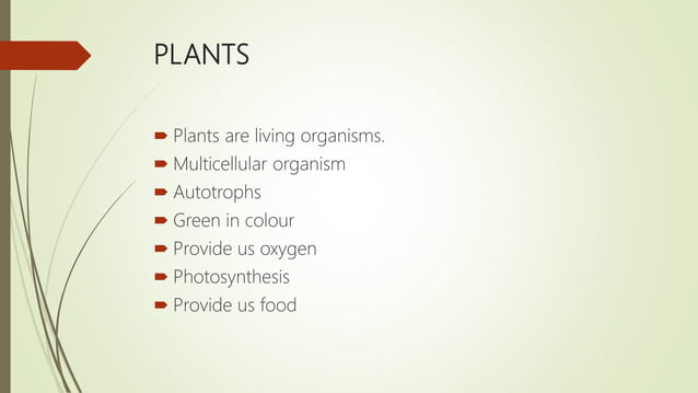 plants tissues and organs | PPTX | Gardening | Home & Garden