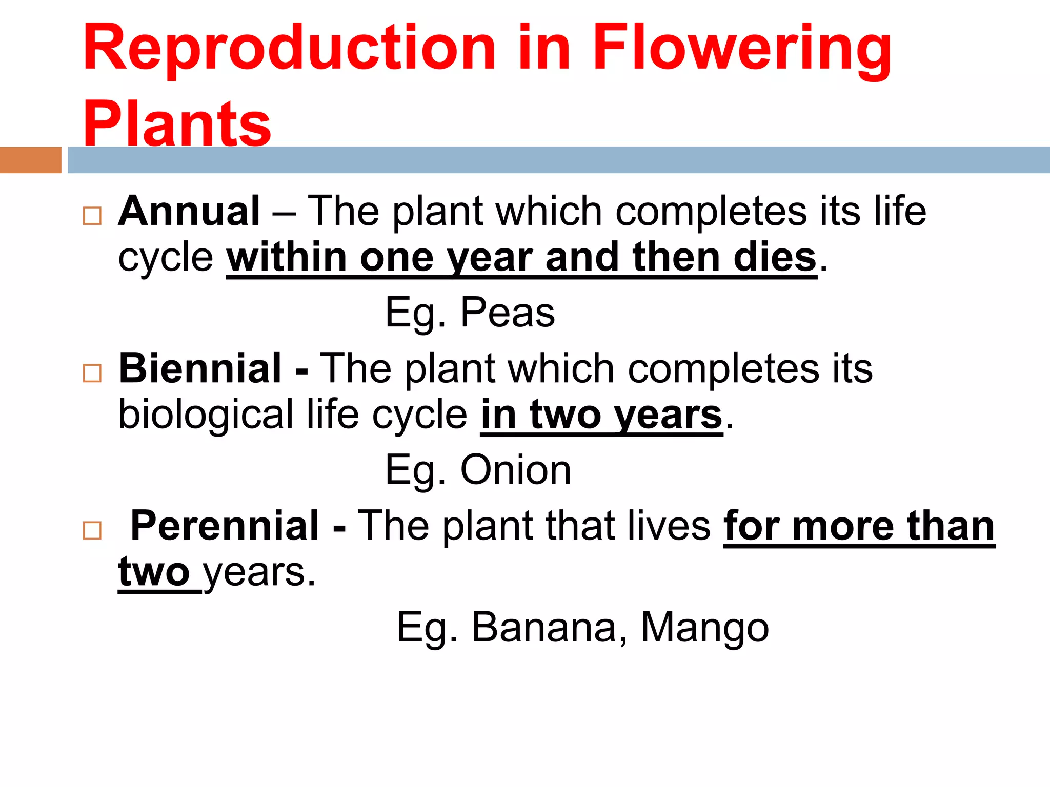 Reproduction in Organism - NEET biology | PPTX