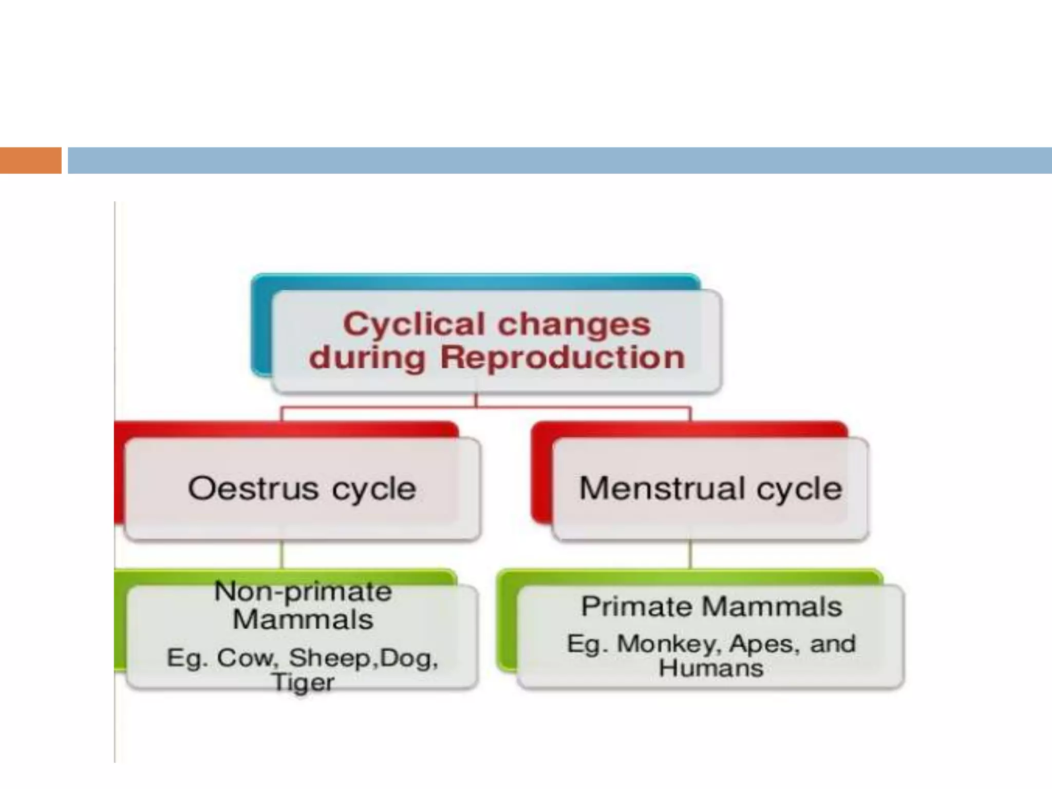 Reproduction in Organism - NEET biology | PPTX