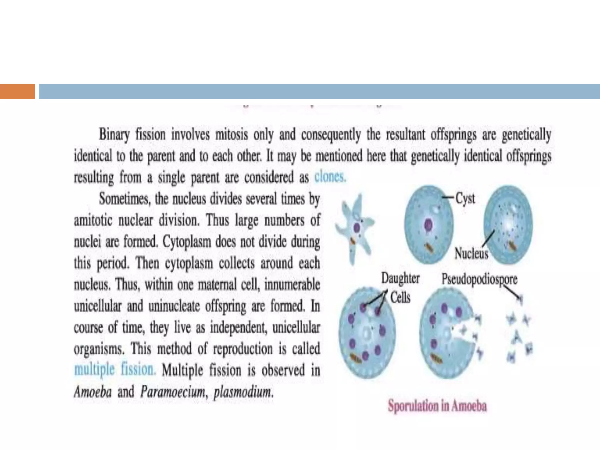 Reproduction in Organism - NEET biology | PPTX