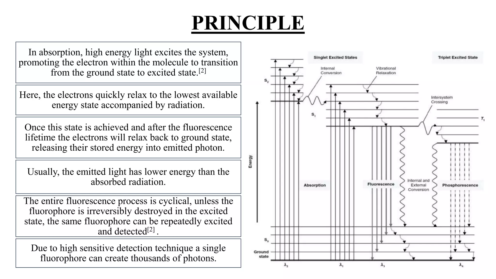 DLS and Fluroscence spectroscopy | PPTX