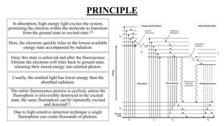 DLS and Fluroscence spectroscopy | PPTX
