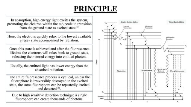 DLS and Fluroscence spectroscopy | PPTX | Chemistry | Science