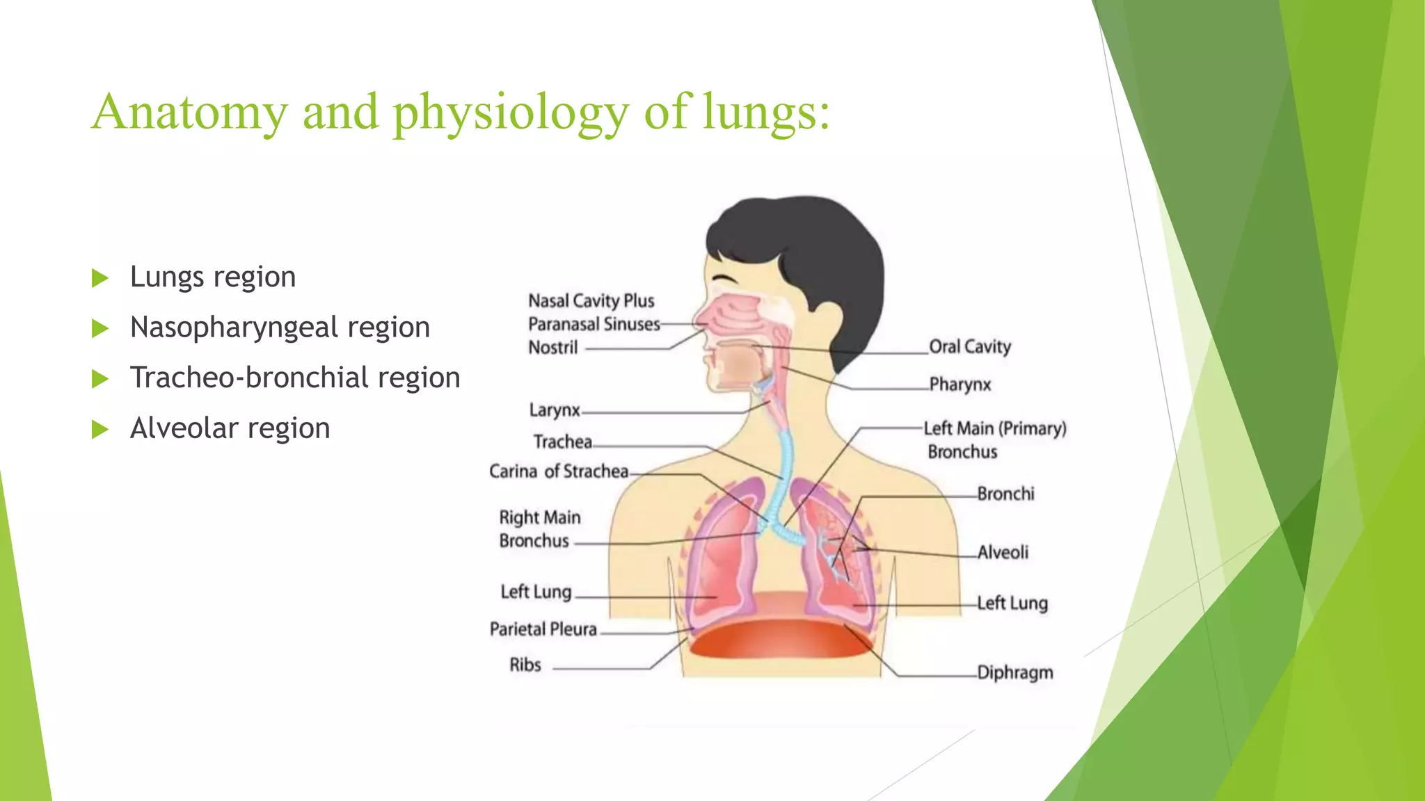 pulmonary drug delivery system | PPTX