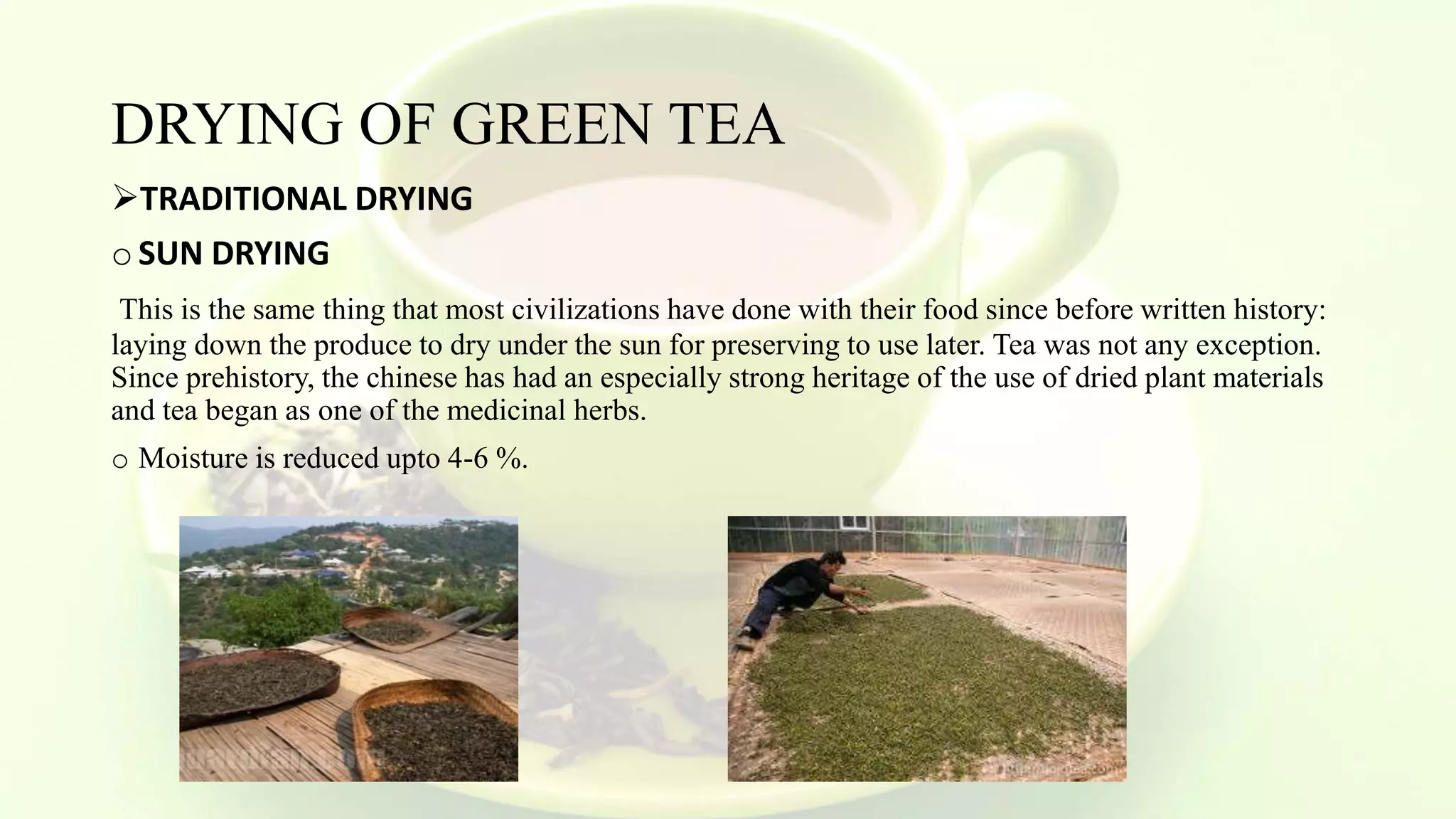 Green tea processing | PPTX