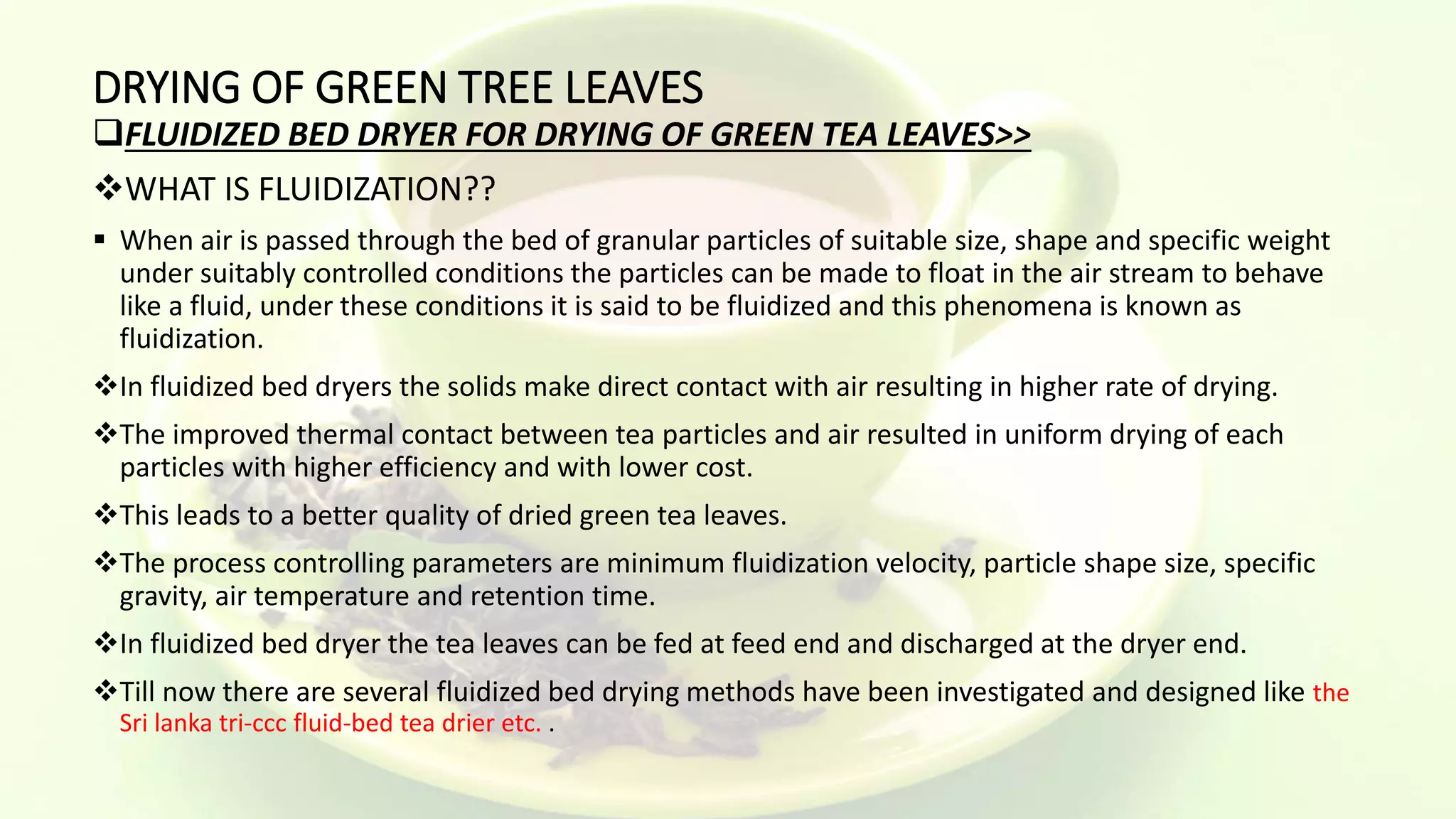Green tea processing | PPTX
