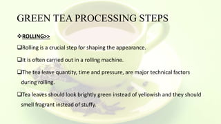 Green tea processing | PPTX