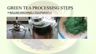 Green tea processing | PPTX