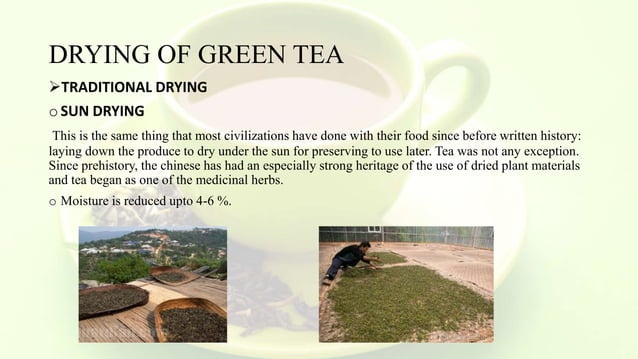 Green tea processing | PPTX | Nutrition | Healthy Living