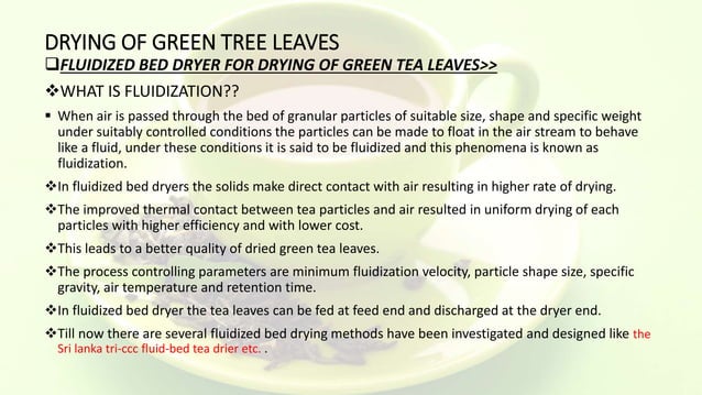 Green tea processing | PPTX | Nutrition | Healthy Living