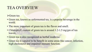 Green tea processing | PPTX