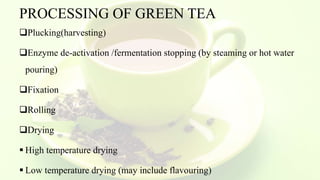 Green tea processing | PPTX