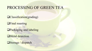 Green tea processing | PPTX
